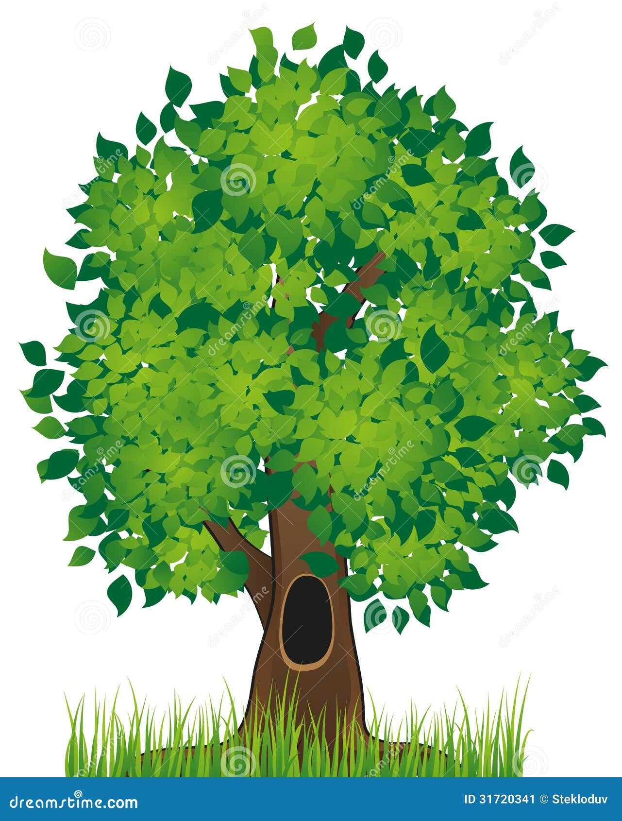 Deciduous tree stock vector. Illustration of summer, conservation ...