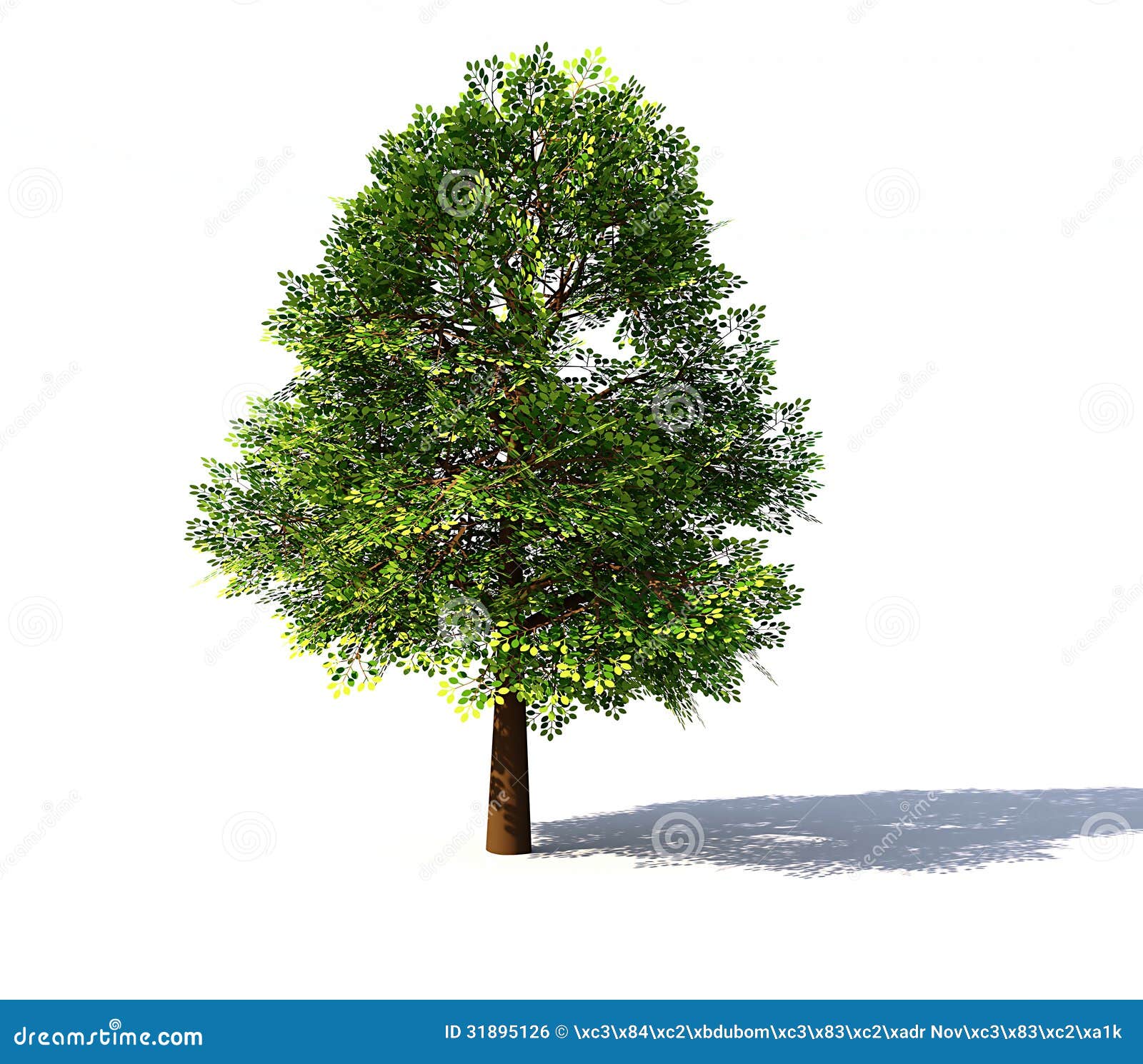 Deciduous tree rendered stock illustration. Illustration of bark - 31895126