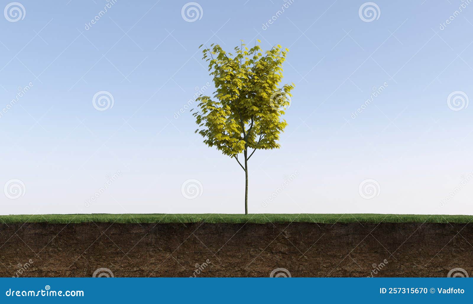 Deciduous Tree and Soil Cut Under it, 3d Render Stock Illustration ...