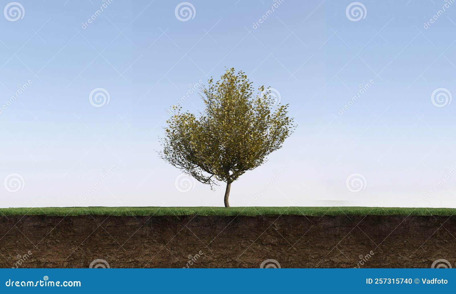 Deciduous Tree and Soil Cut Under it, 3d Render Stock Illustration ...