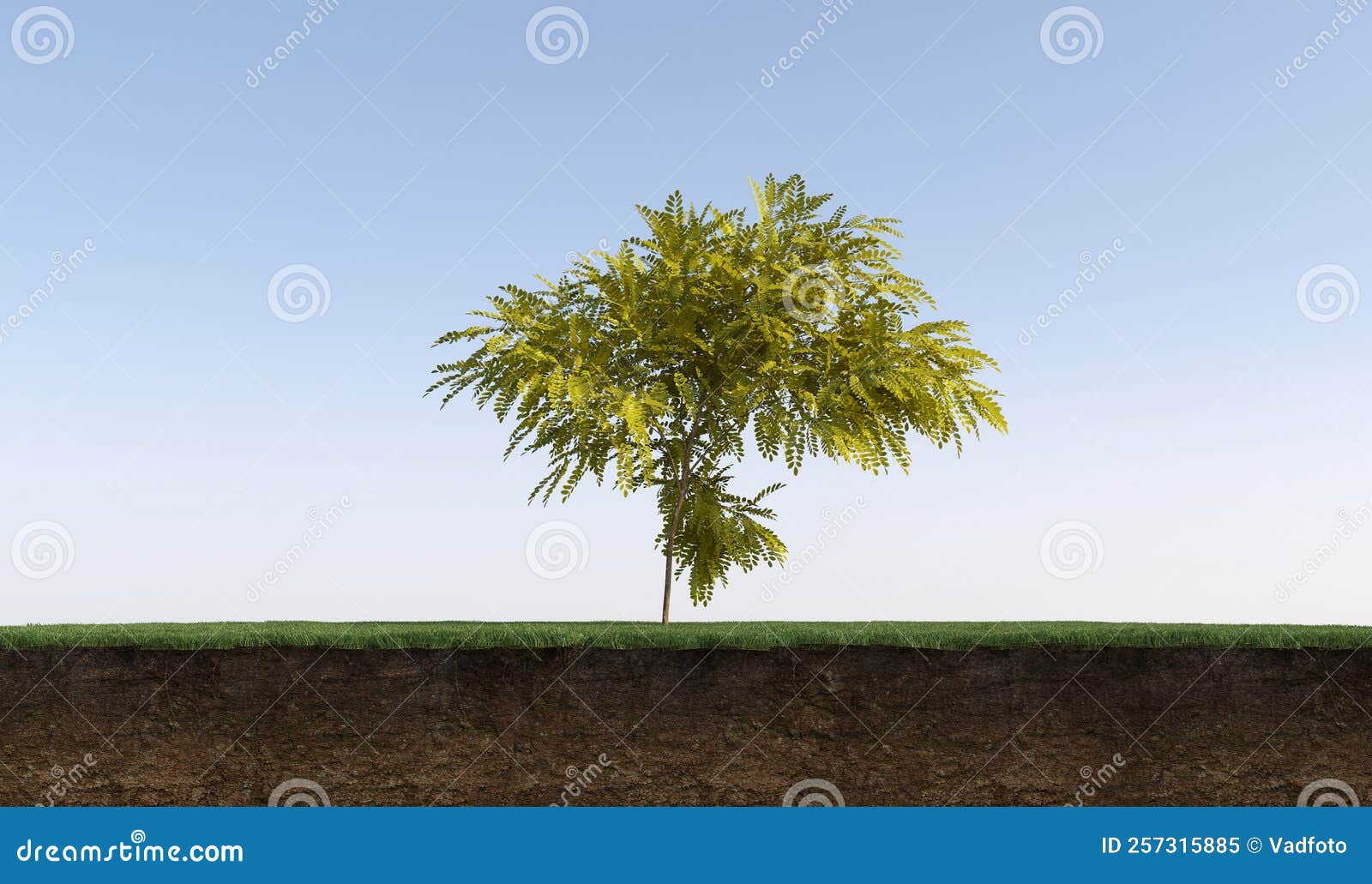 Deciduous Tree and Soil Cut Under it, 3d Render Stock Illustration ...