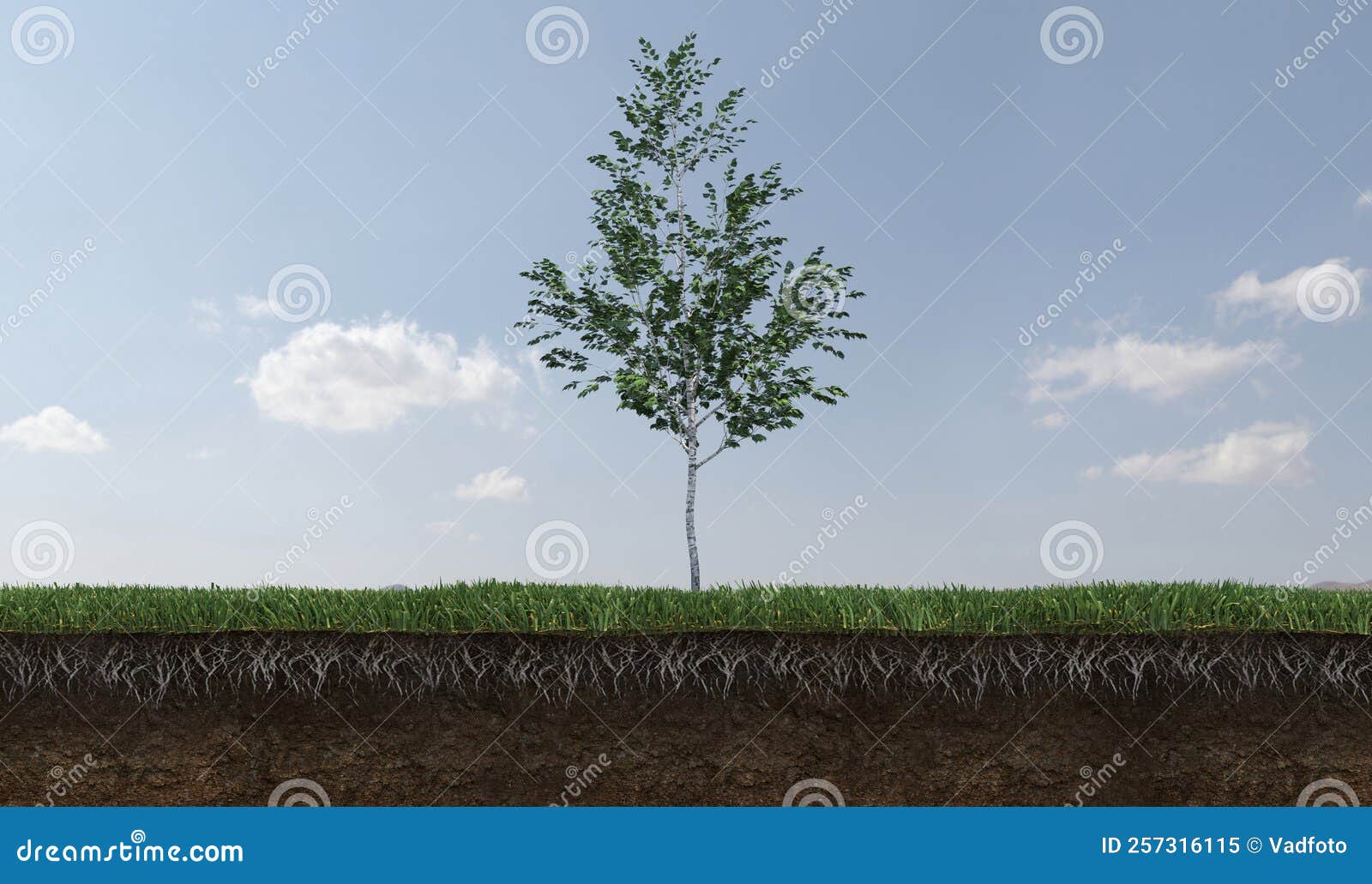 Deciduous Tree and Soil Cut Under it, 3d Render Stock Illustration ...