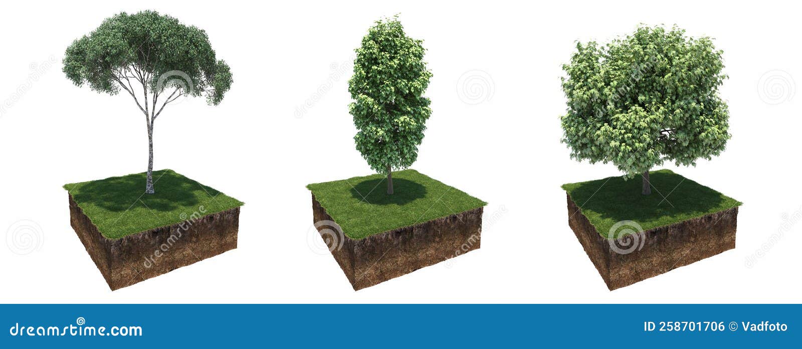 Deciduous Tree and Soil Cut Under it, 3d Render Stock Illustration ...