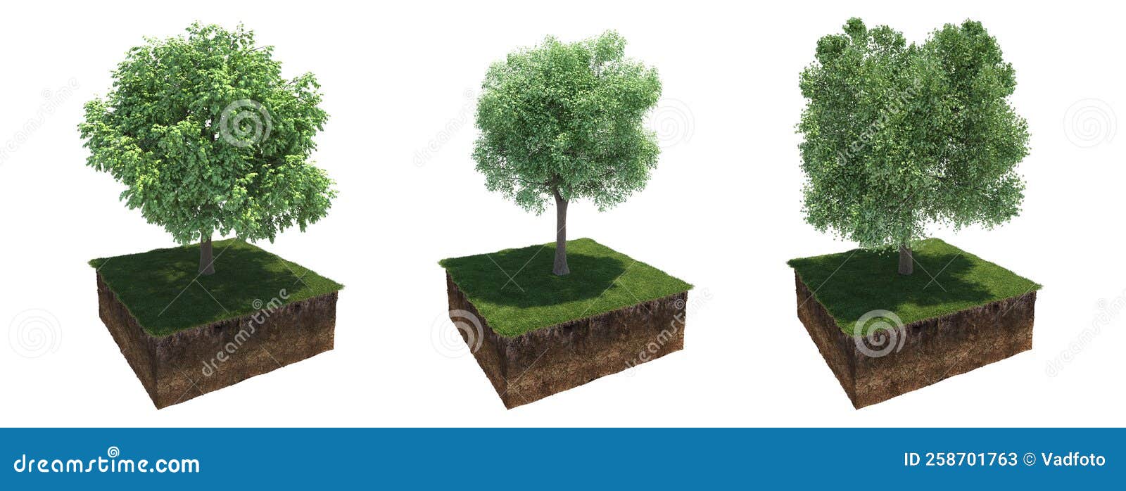 Deciduous Tree and Soil Cut Under it, 3d Render Stock Illustration - Illustration of earth ...