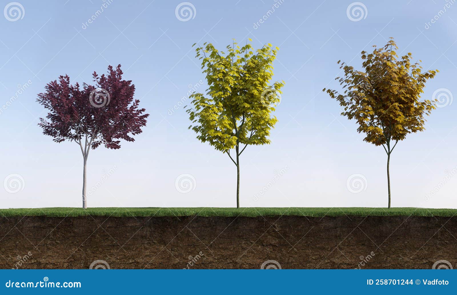 Deciduous Tree and Soil Cut Under it, 3d Render Stock Illustration ...