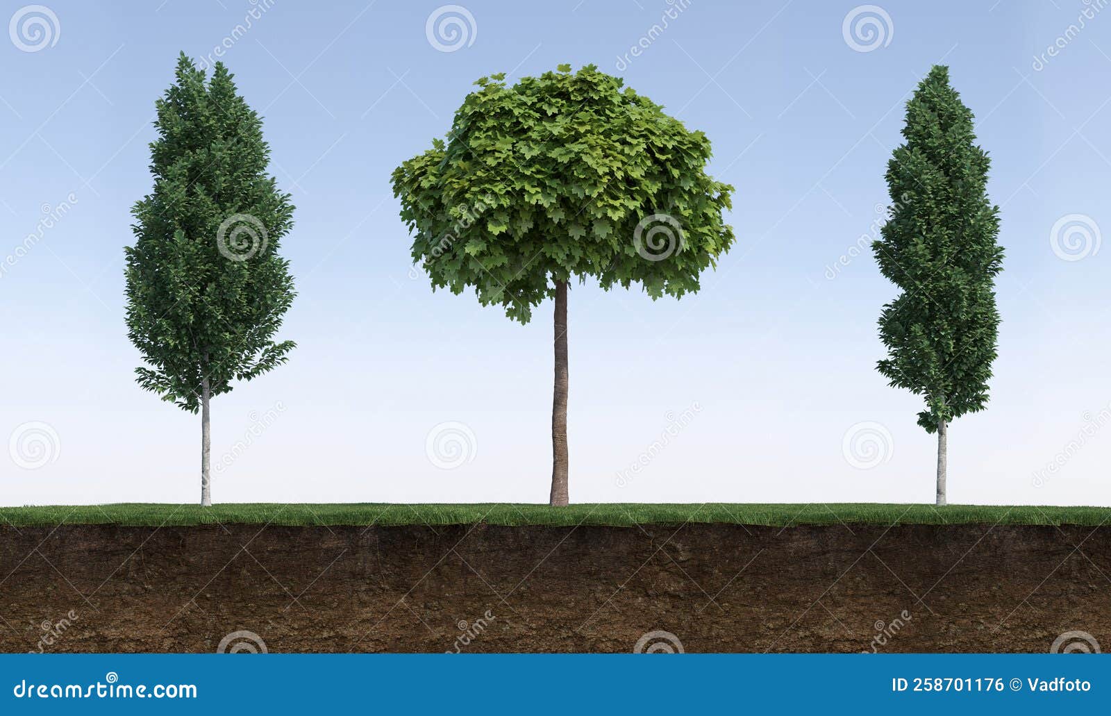 Deciduous Tree and Soil Cut Under it, 3d Render Stock Illustration ...