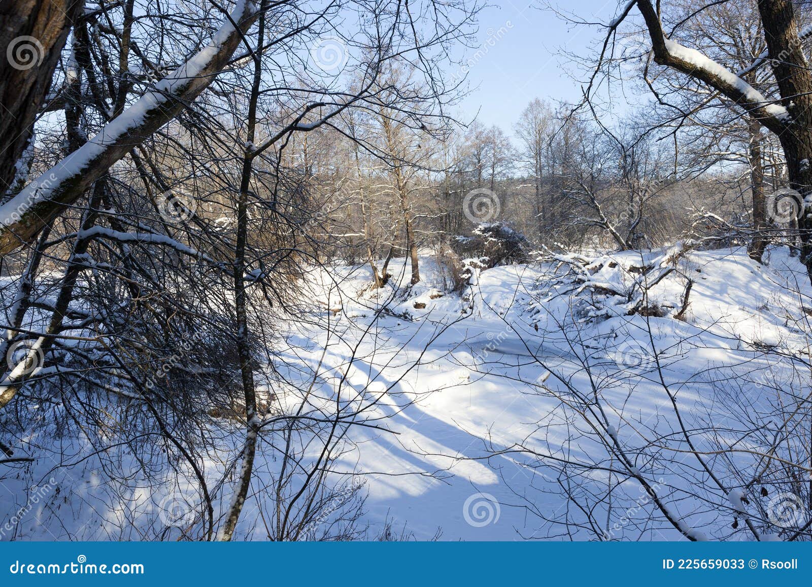 Deciduous Trees Covered with Snow Stock Image - Image of seasonal ...