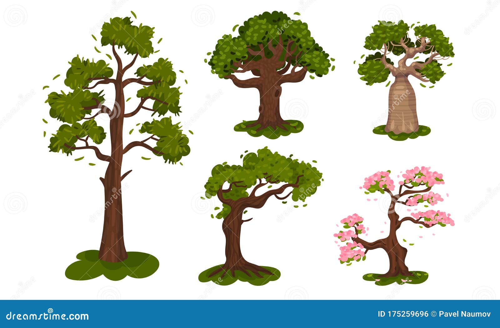 Deciduous Trees With Exuberant Tree Crown Vector Set | CartoonDealer ...