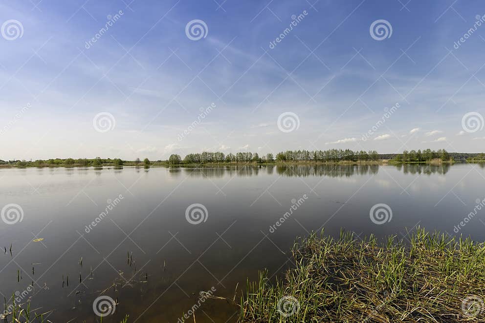 Deciduous Trees Growing on the Riverbank Stock Image - Image of flowing ...