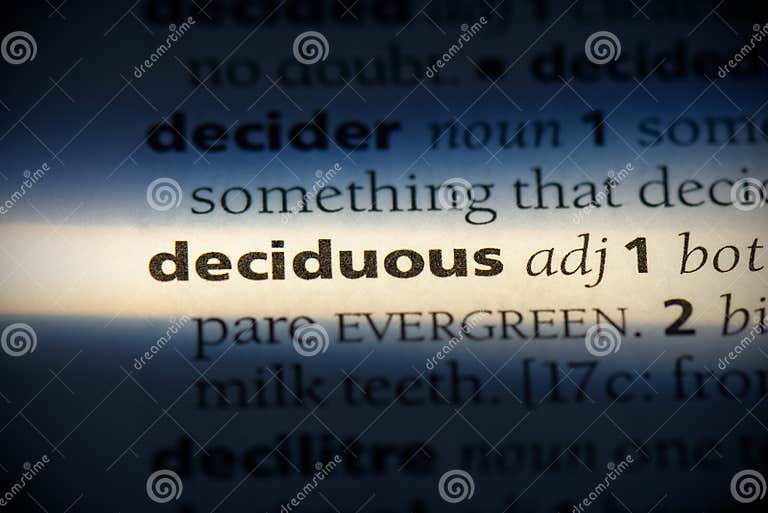 Deciduous stock photo. Image of thesaurus, learn, idea - 161578568