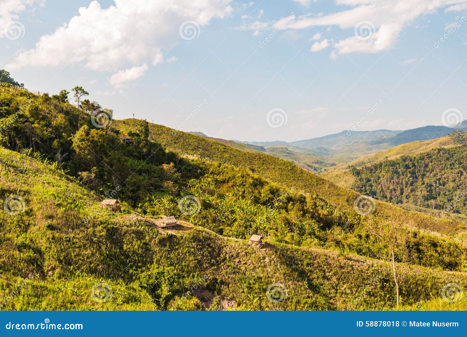 Decimated Deforestation Mountains Stock Photo - Image of ridge, tree ...
