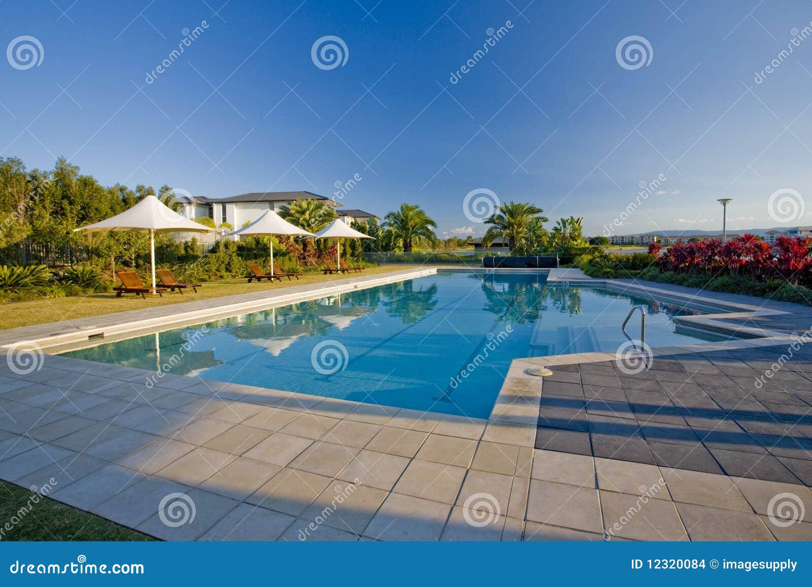 Deck Chairs and Parasols by the Pool Stock Photo - Image of area ...
