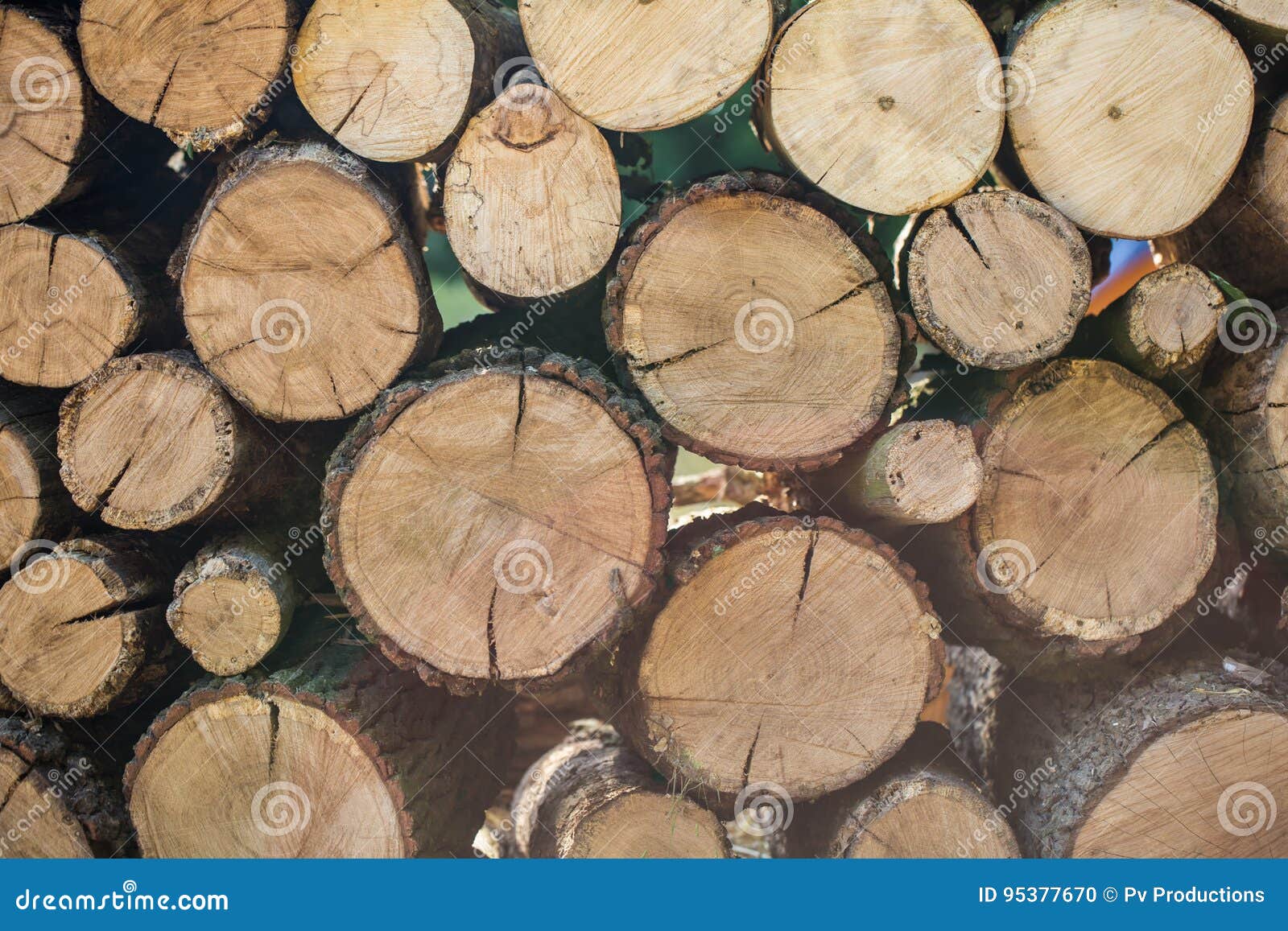 The deck is stacked logs stock photo. Image of logs, material - 95377670