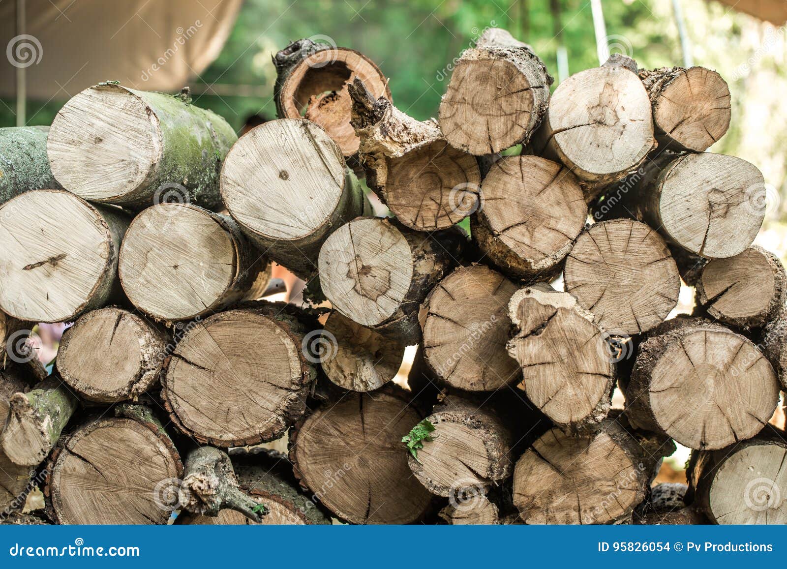A Deck Of Stacked Logs And An Axe Stock Photo | CartoonDealer.com #95001672