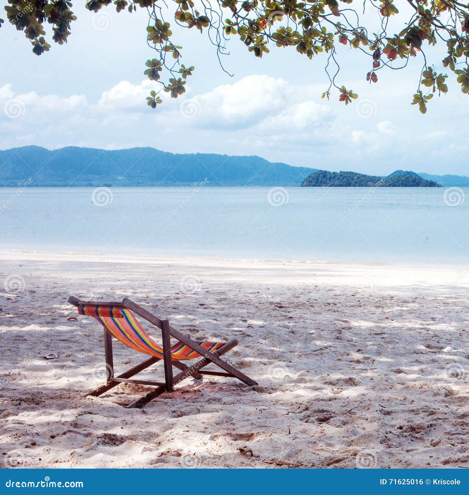 Deckchair in the Shade of Tree, Chair, Beach. Stock Photo - Image of ...