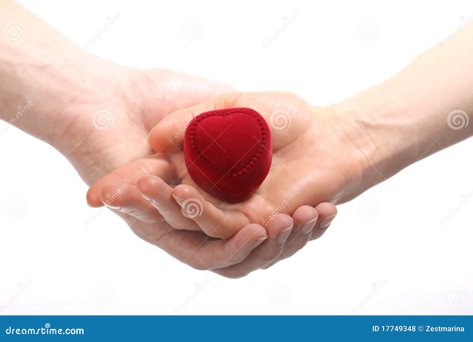 Declaration of love stock photo. Image of closed, declaration - 17749348