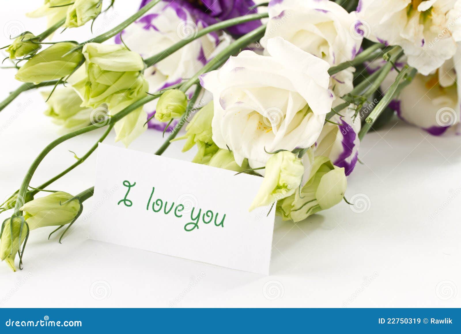 Declaration of love stock image. Image of mother, flower - 22750319