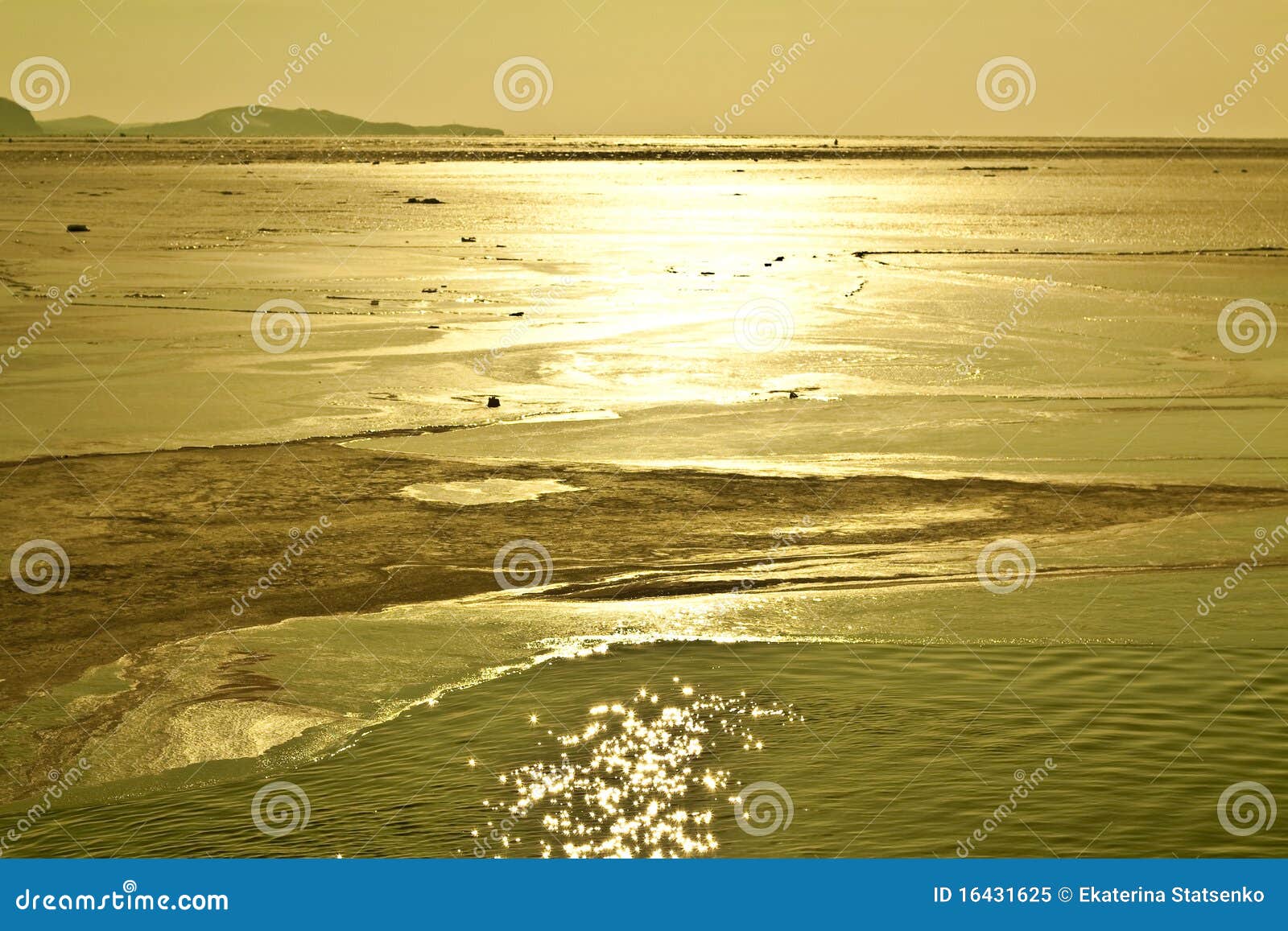 Decline stock image. Image of spring, nature, decline - 16431625