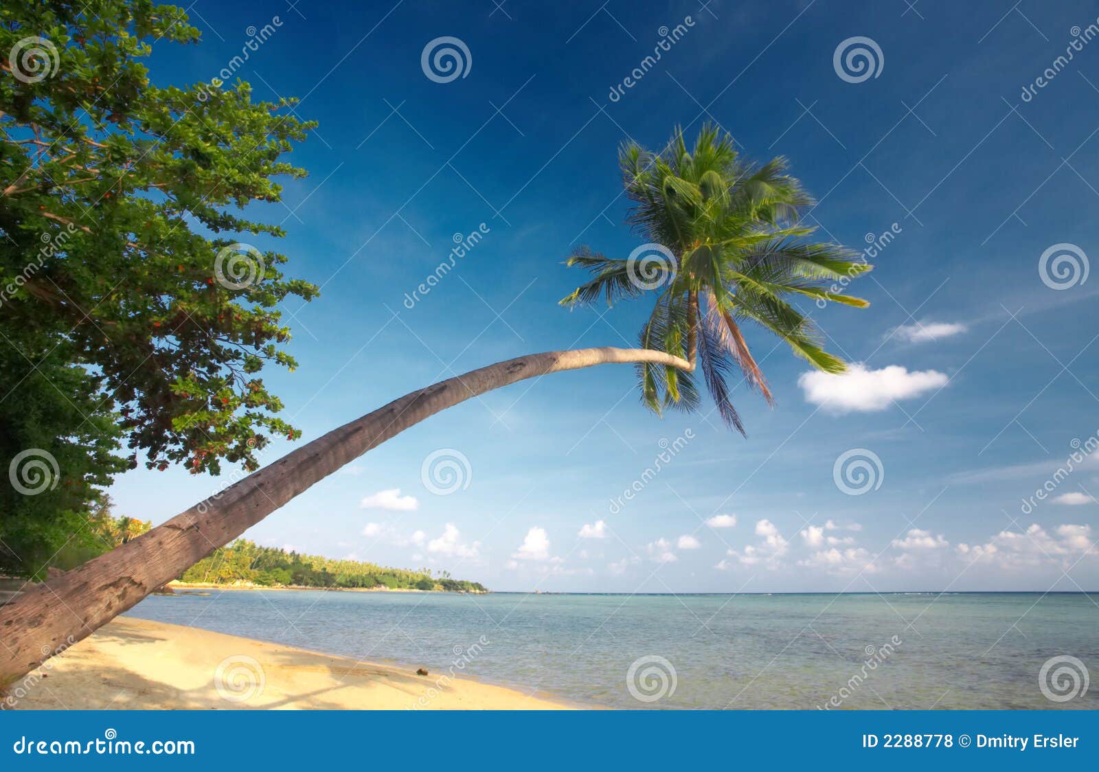 Decline stock photo. Image of relax, paradise, dawdle - 2288778