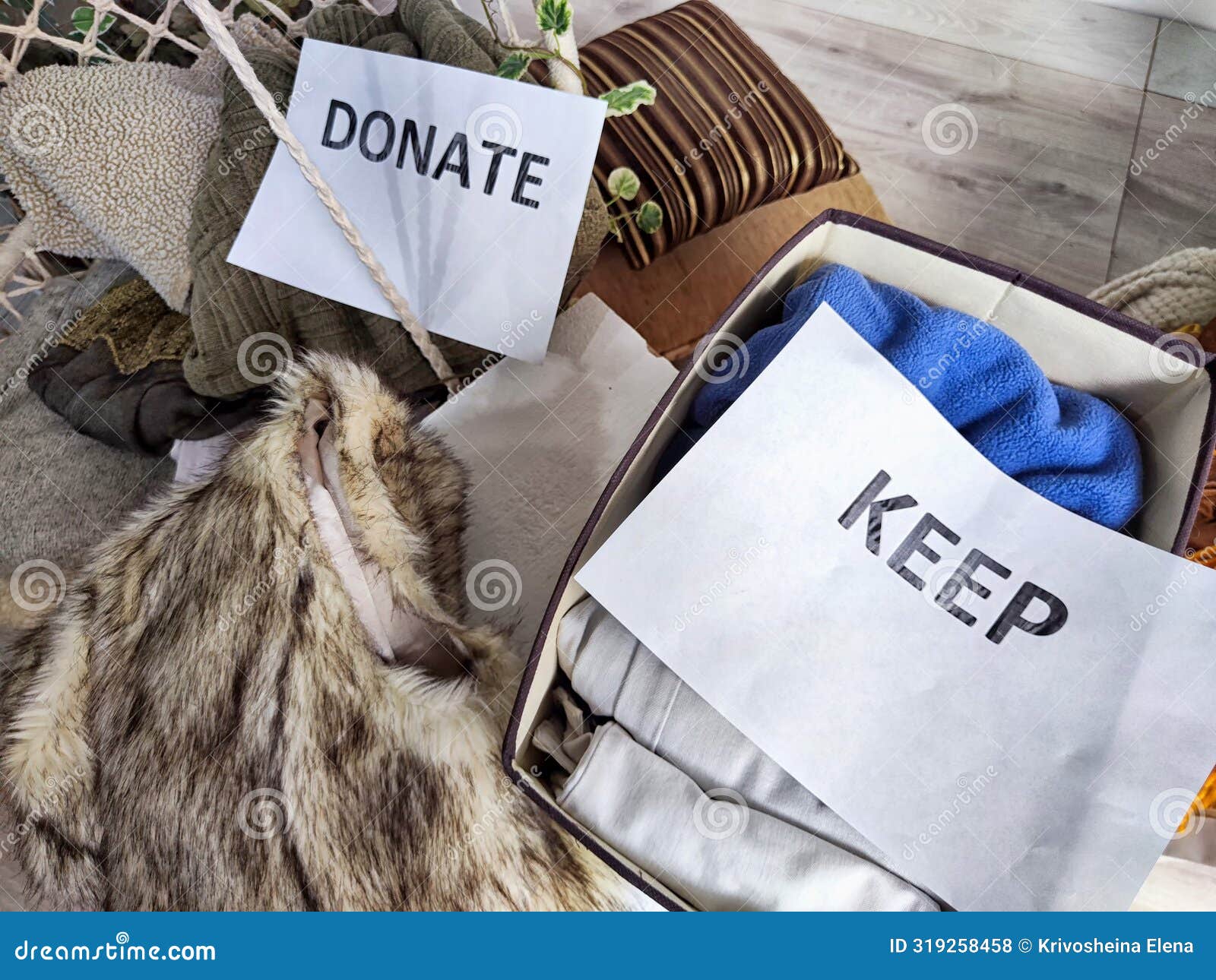 Decluttering Dress According To the Konmari Method. the Various ...