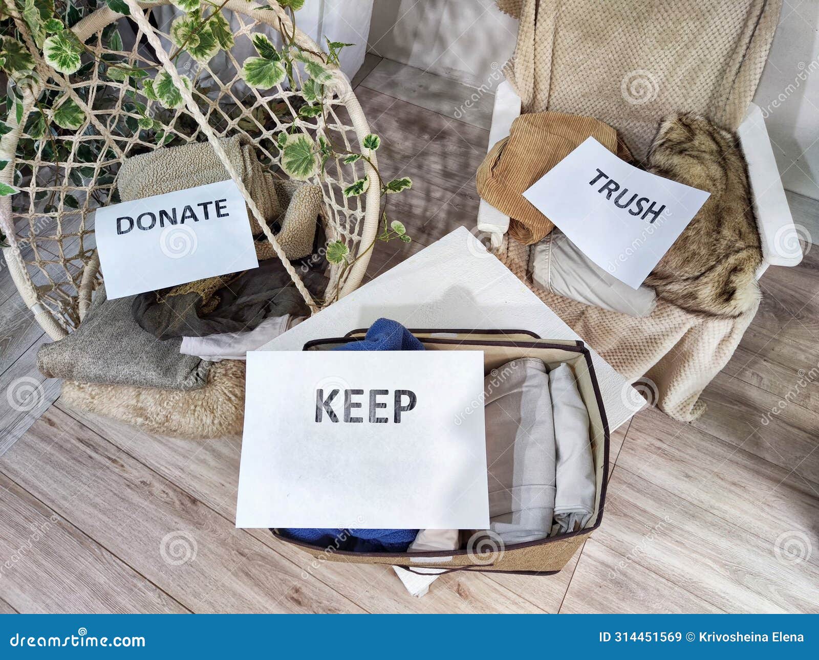 Decluttering Essentials Using the KonMari Method. Assorted Items Sorted ...