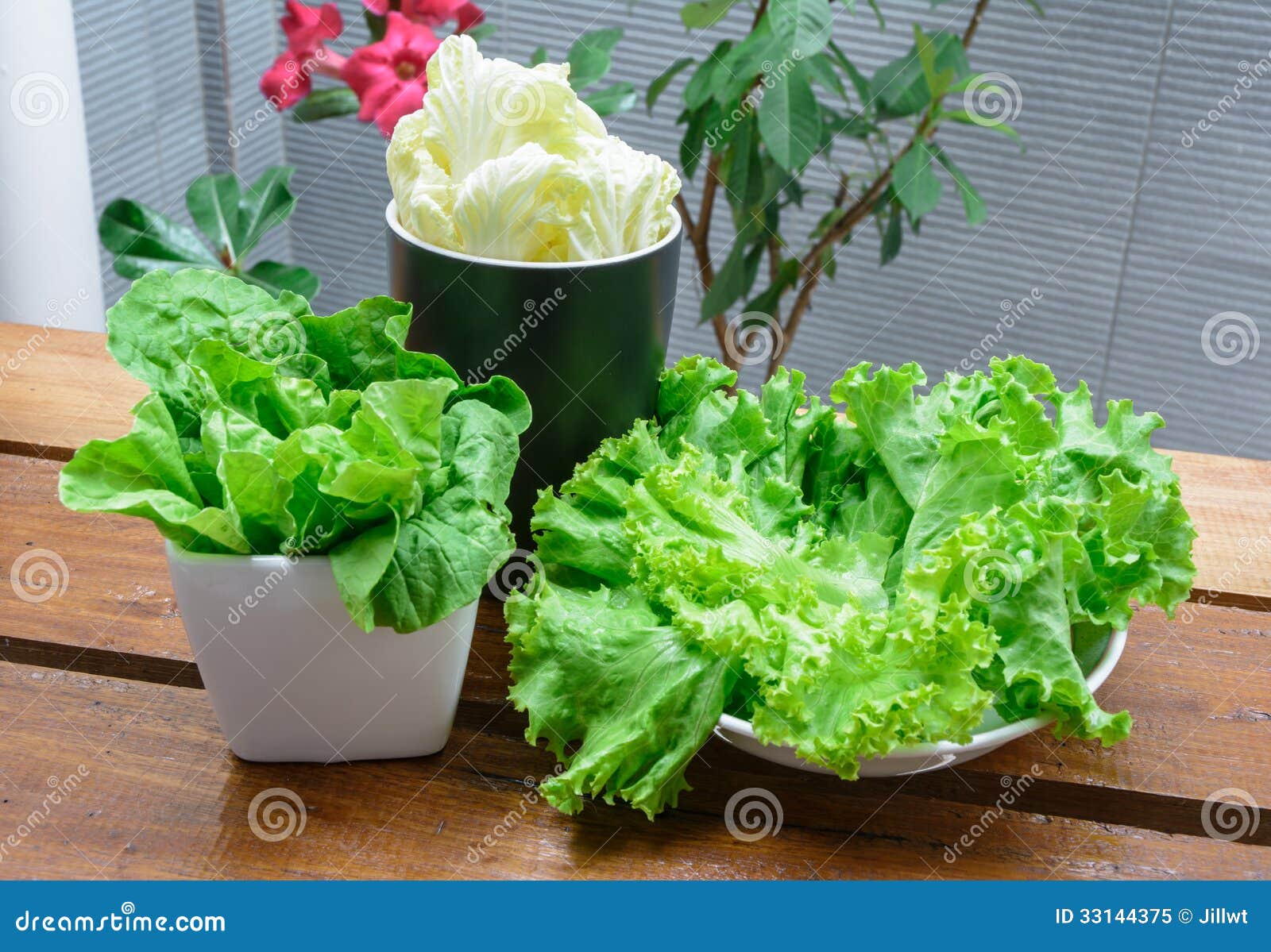 Deco Drie Type Groene Groente Stock Afbeelding - Image of lijst, blad ...