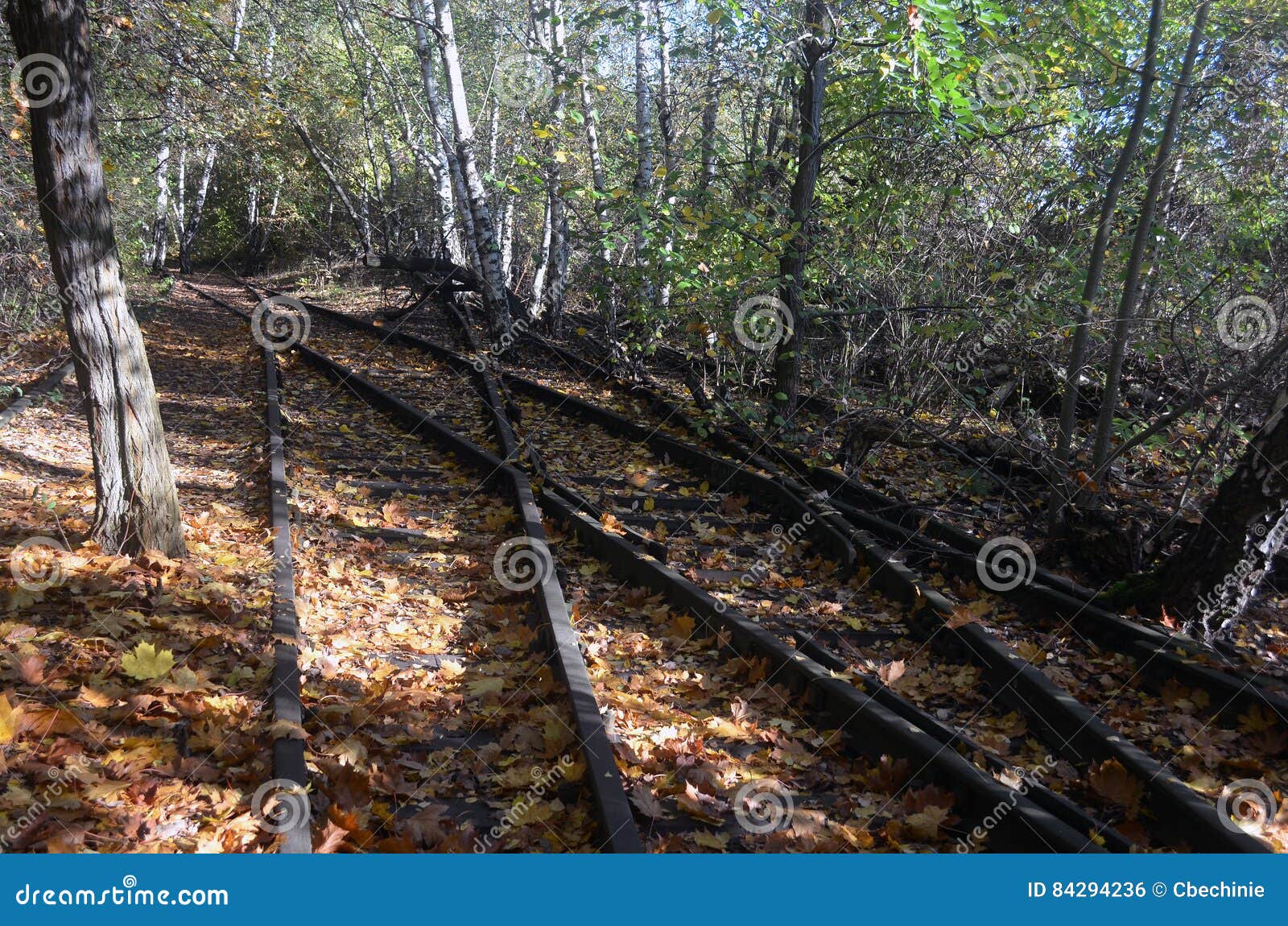 Decommissioned Railroad Track Stock Photo - Image of trees, retro: 84294236