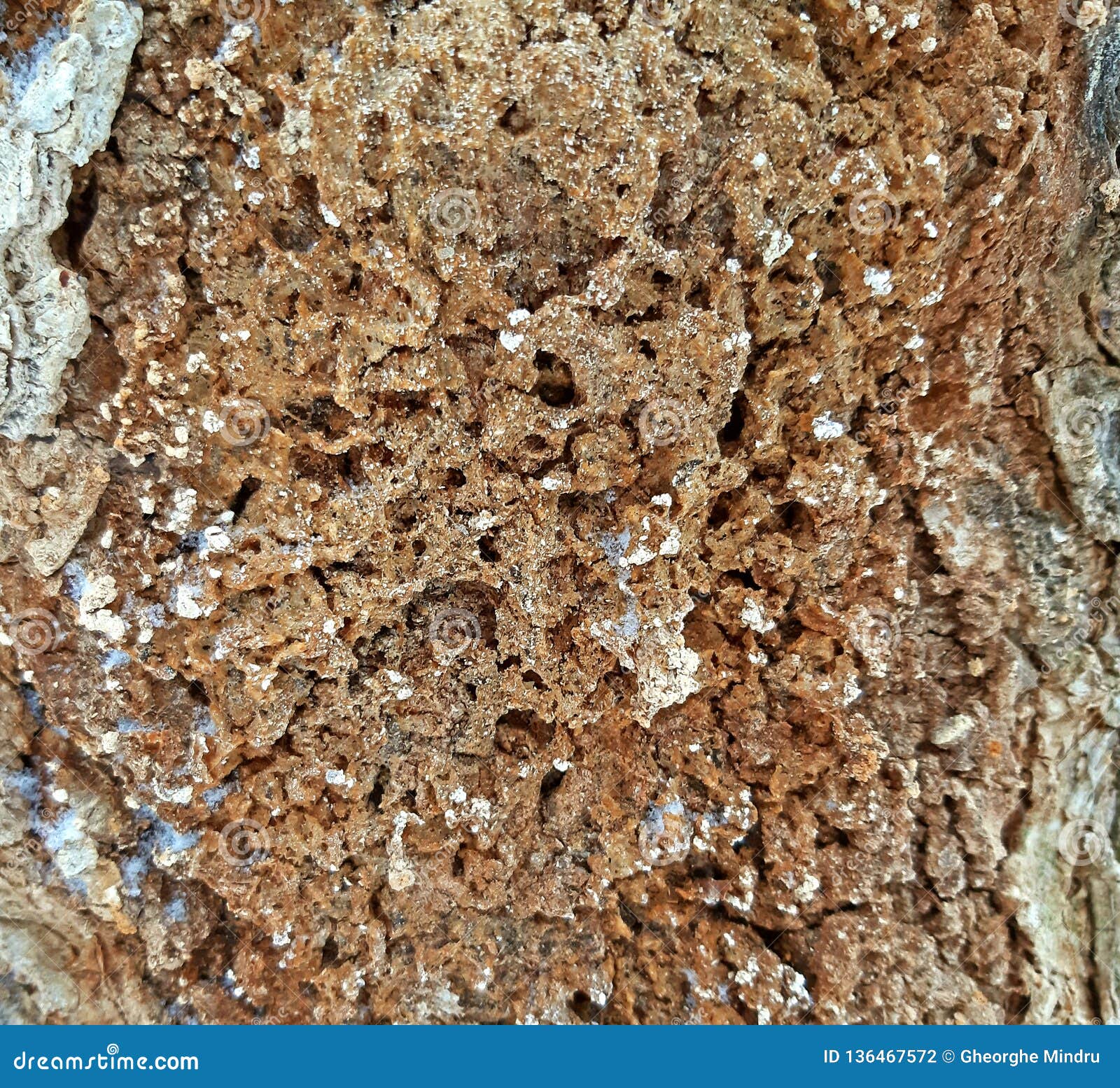 Texture Of Old Decomposed Foam Rubber Royalty-Free Stock Photography ...