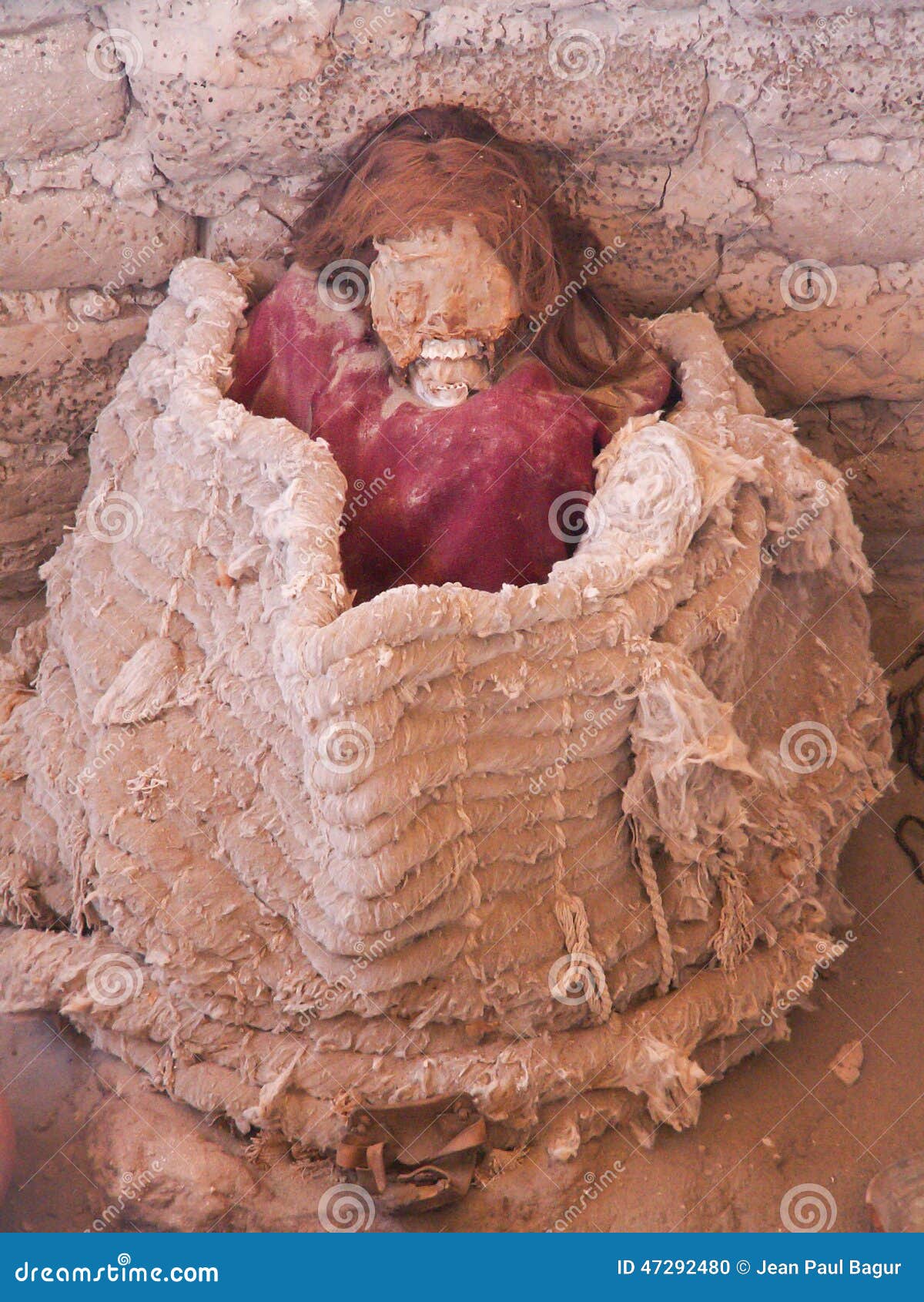 Decomposing Body And Skeleton Of A Headless Dead Bird Laying On Stock ...