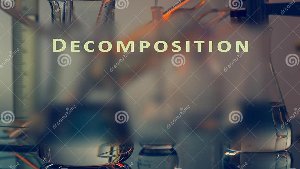 Decomposition stock image. Image of research, breaks - 339894633