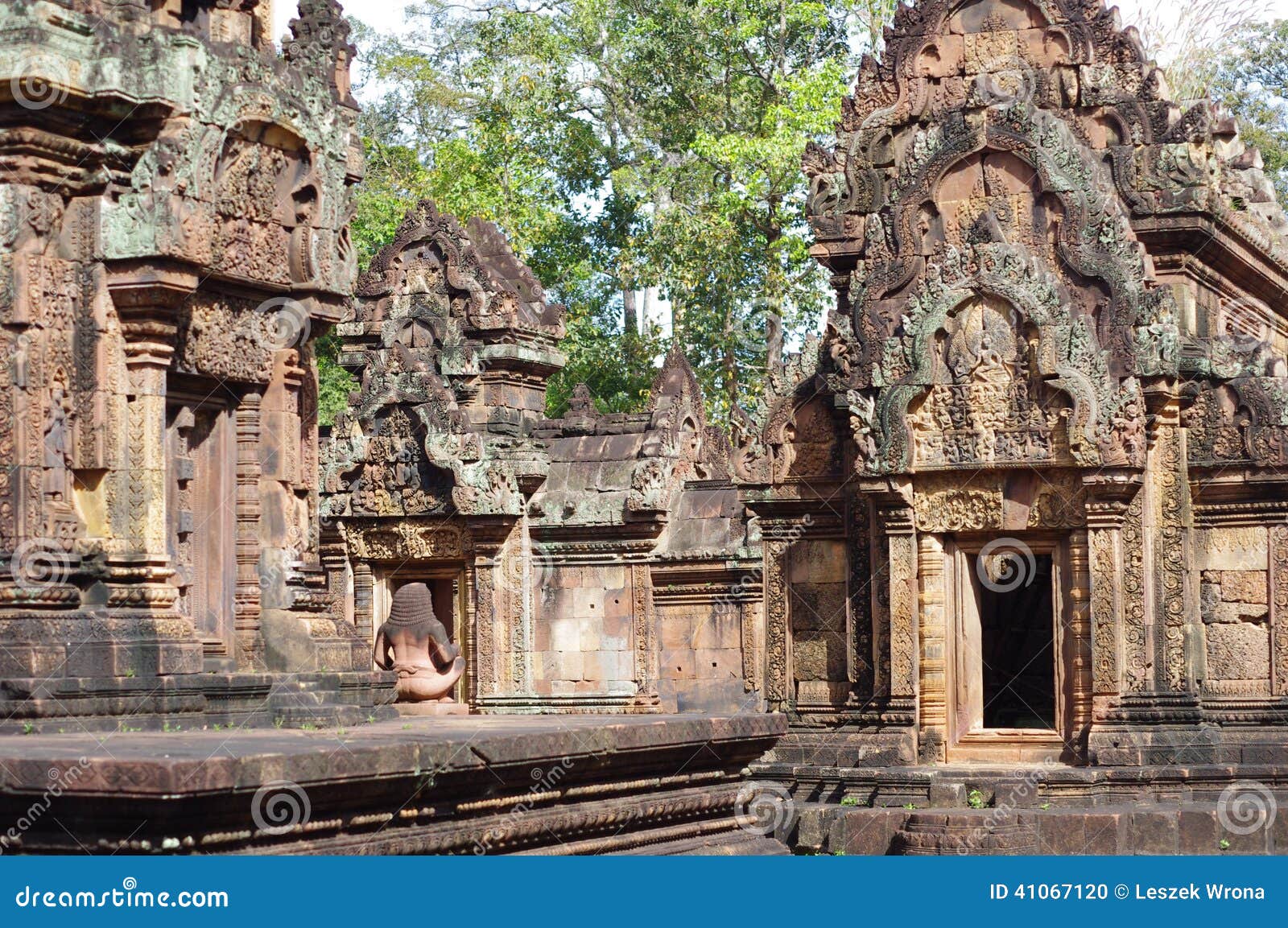 1,481 Bosque Inmenso Fotos de stock - Fotos libres de regalías de ...