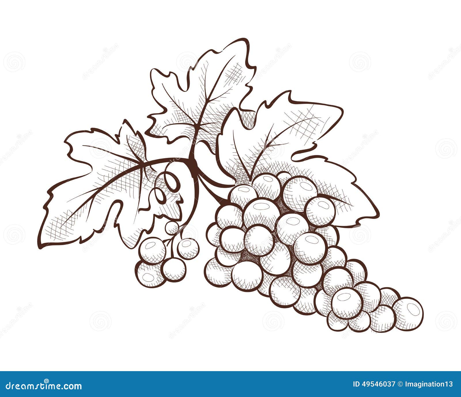 Decoración floral - uva ilustración del vector. Ilustración de marco ...