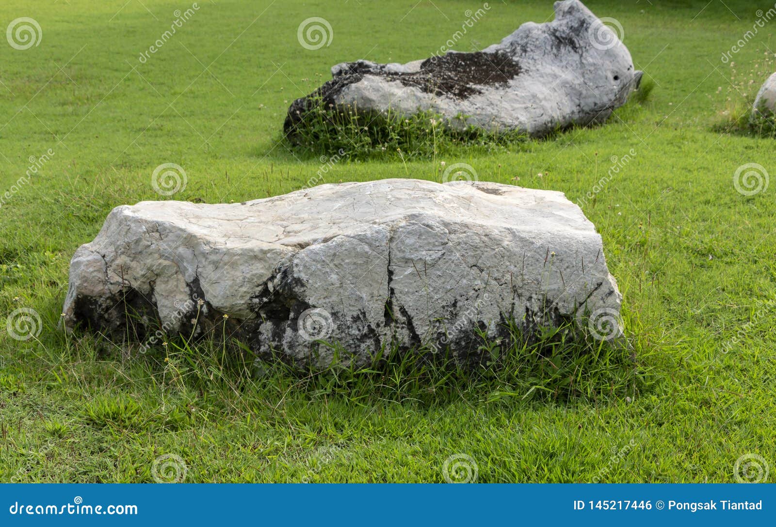 Decorate the Lawn with a Large White Stone Beautiful Stock Photo ...