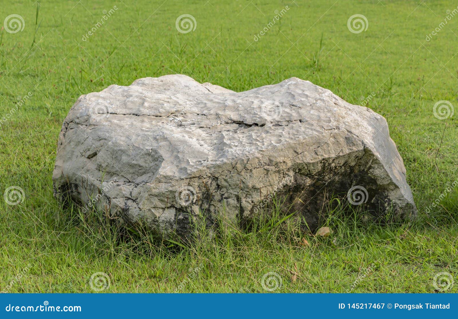 Decorate the Lawn with a Large White Stone Beautiful Stock Image ...