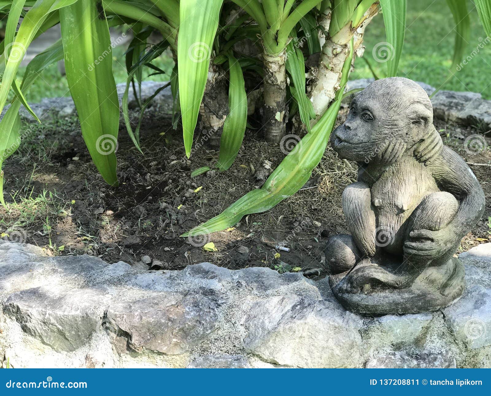 Monkey chill stock image. Image of decorate, chill, garden - 137208811