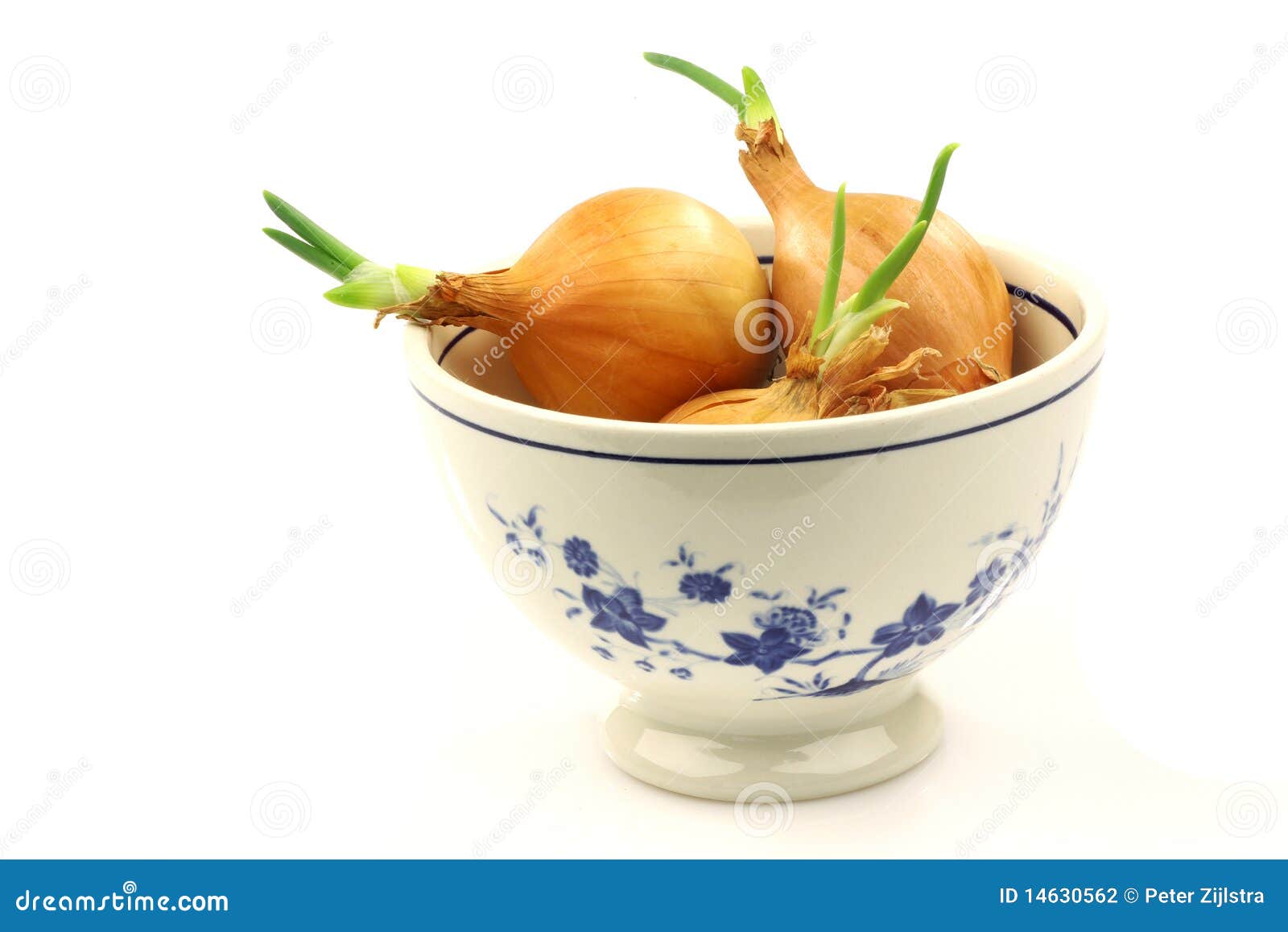 Decorated Bowl with Spring Onions Stock Photo - Image of white, blue ...