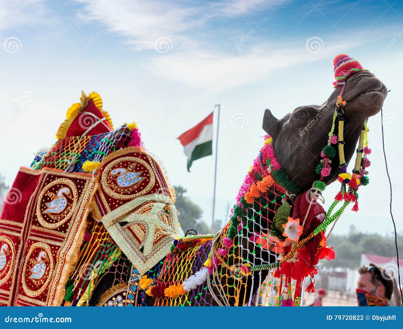Decorated Camel at the Pushkar Fair. Rajasthan, India Editorial ...
