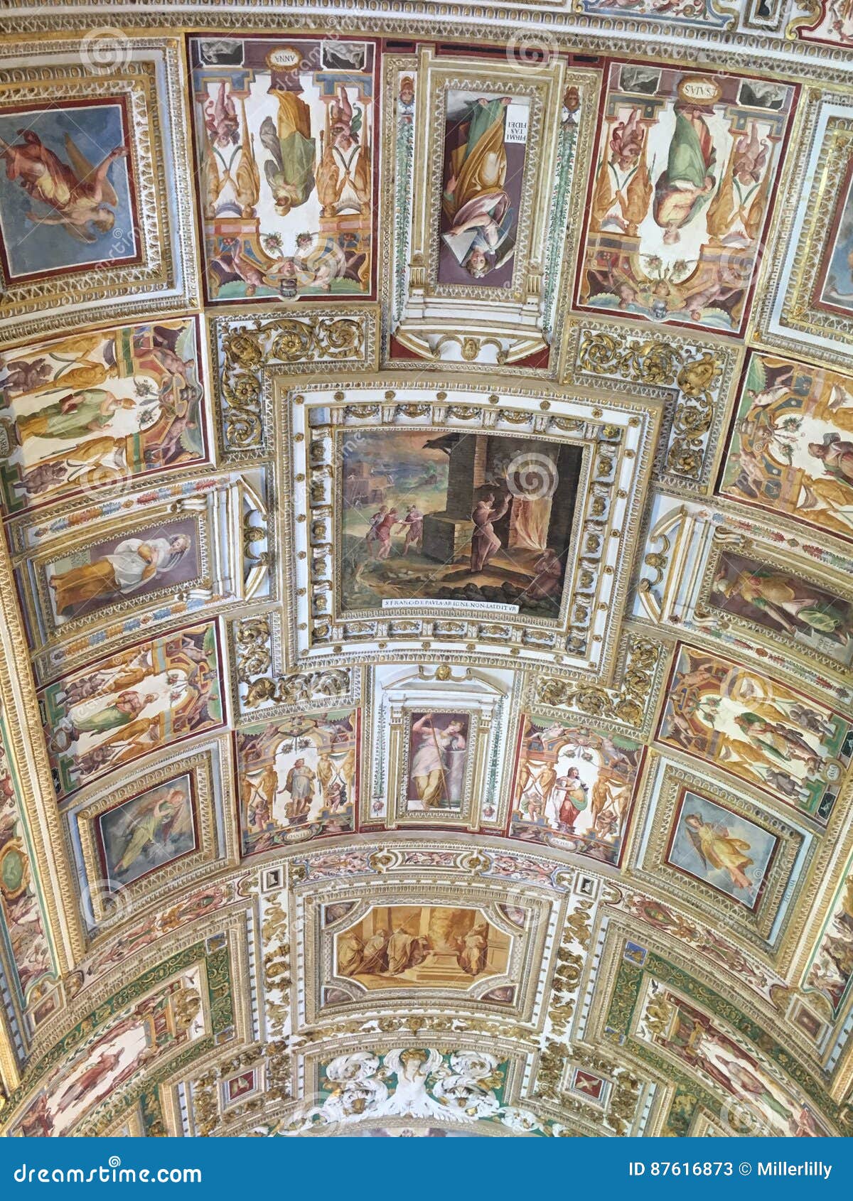 The Decorated Ceilings of the Vatican Museum Editorial Stock Photo ...