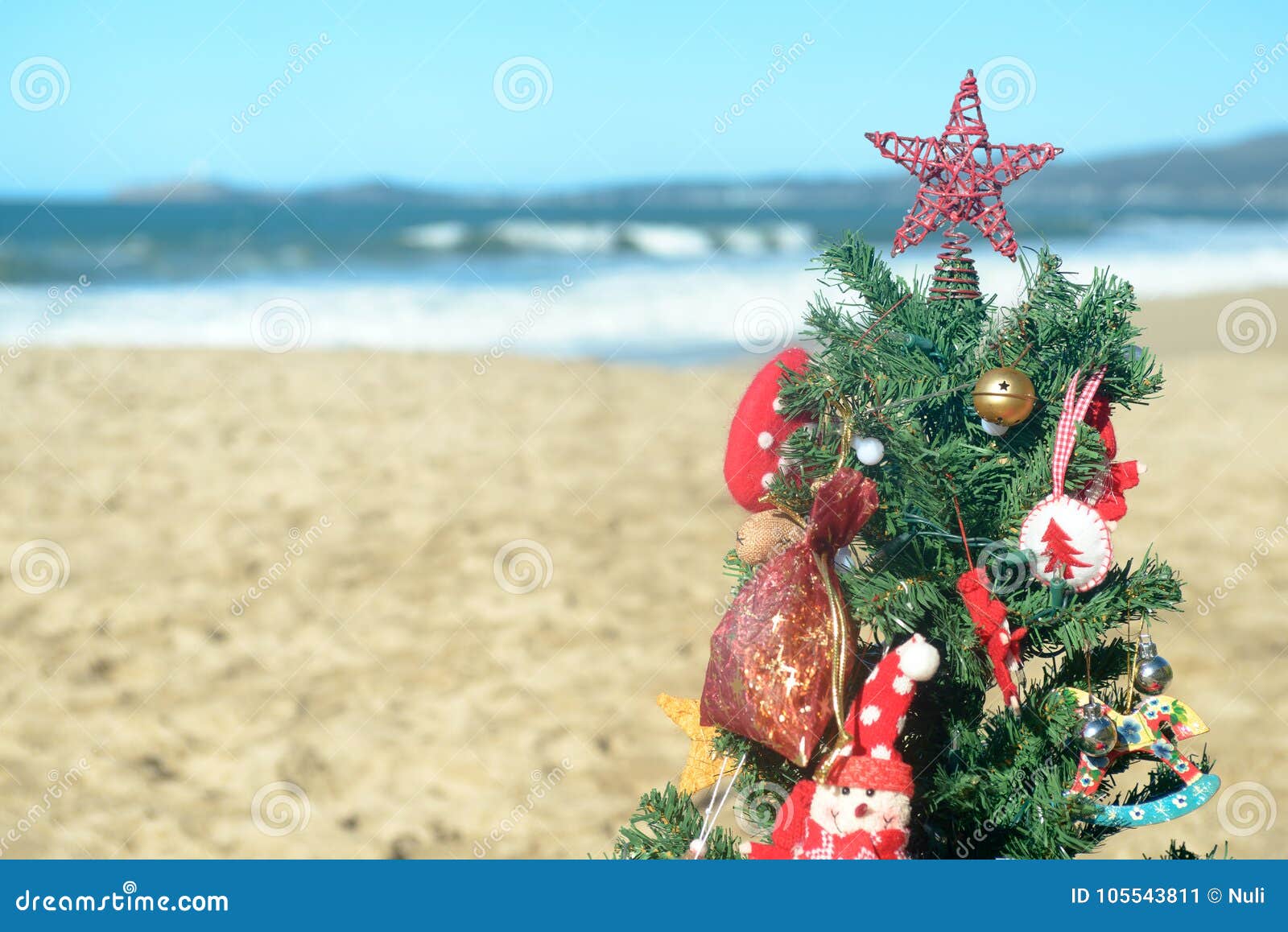 Decorated Christmas Tree at the Beach Stock Image - Image of merry ...
