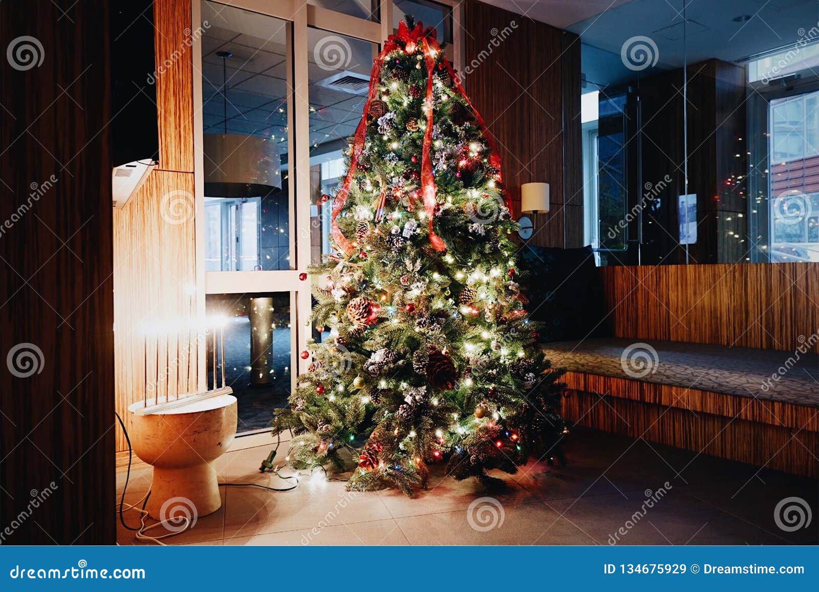 Decorated Christmas Tree and Menorah Display Stock Image - Image of ...