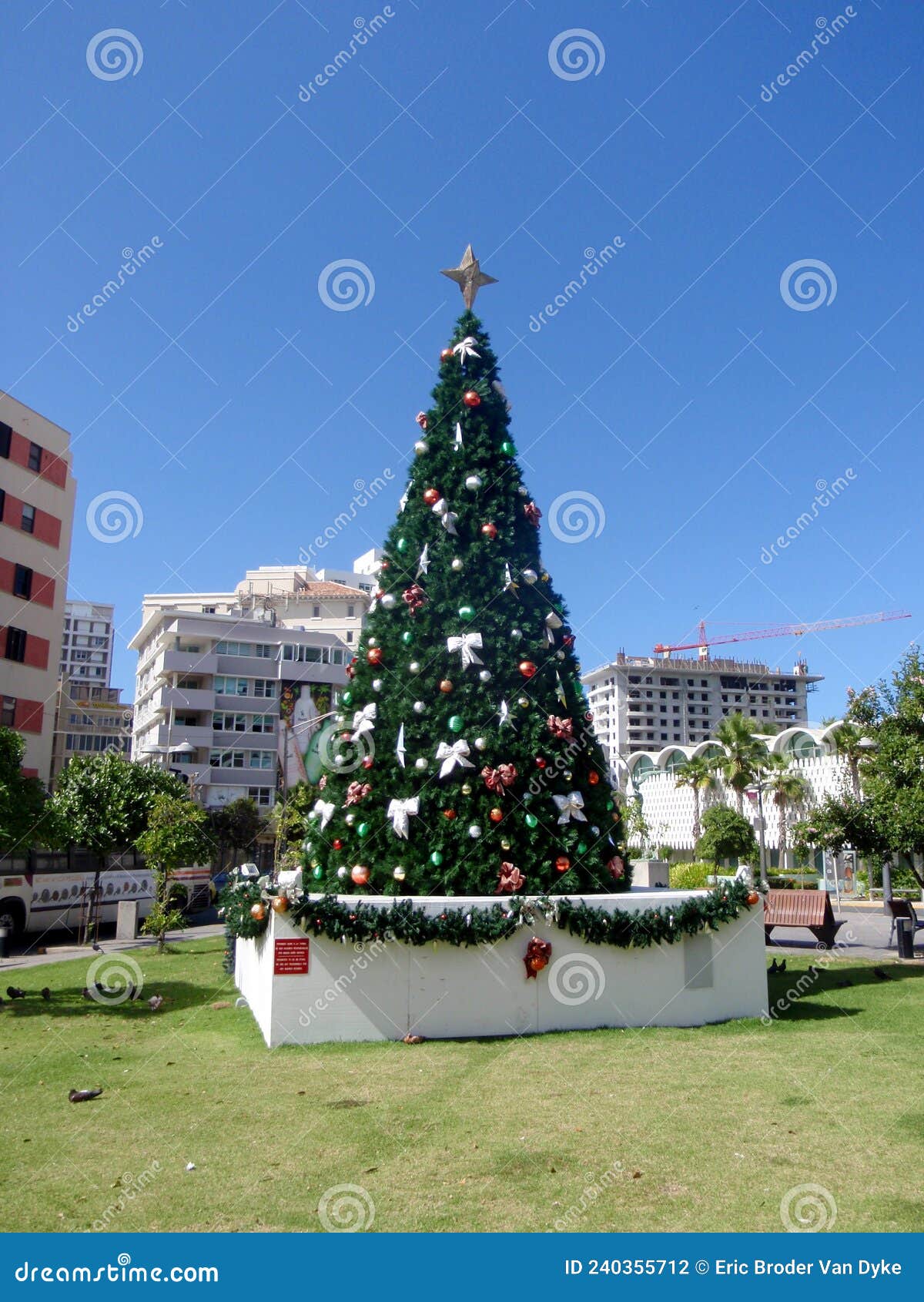 Decorated Christmas Tree in Park Editorial Photography - Image of juan ...