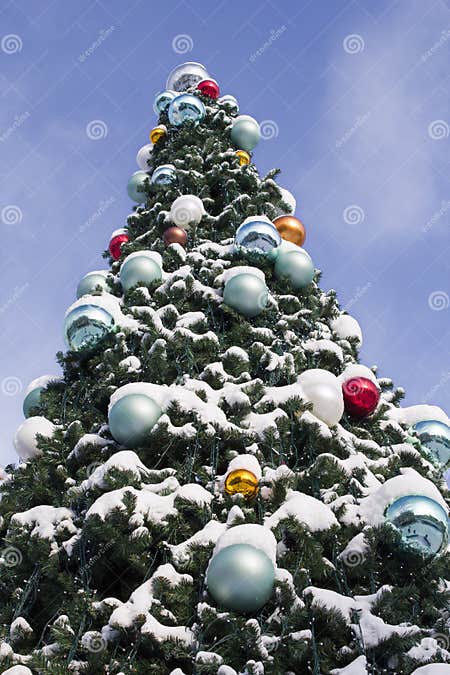Decorated Christmas Tree with Snow Stock Image - Image of firtree ...