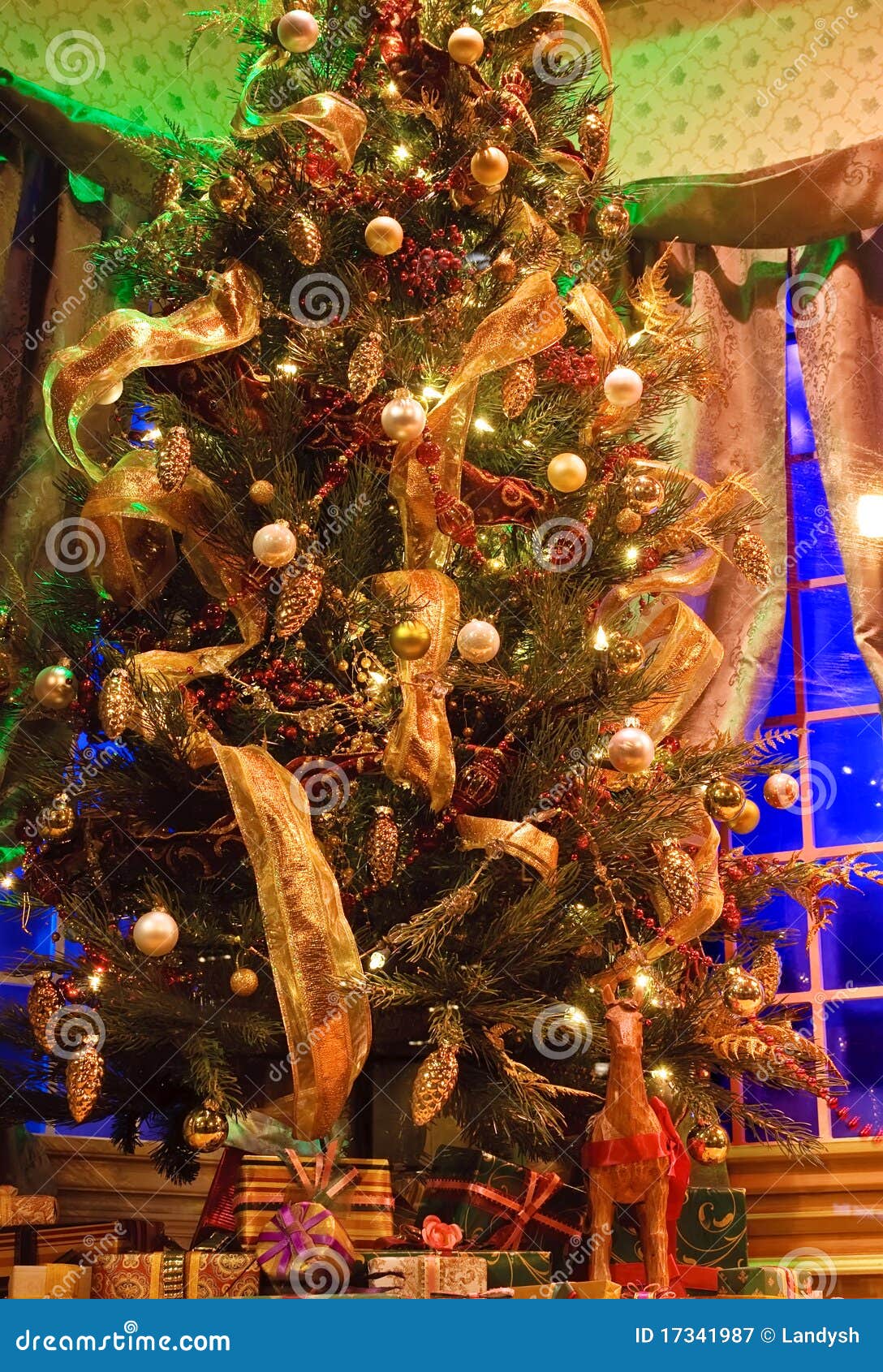 1,220 Storefront Tree Stock Photos - Free & Royalty-Free Stock Photos ...