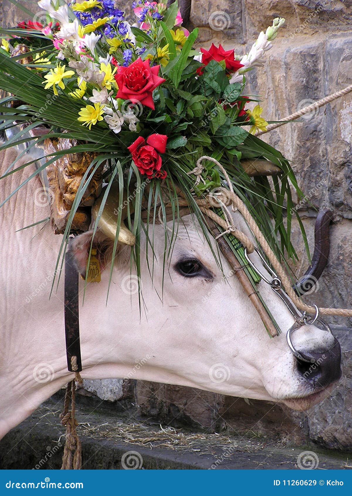 Decorated cow stock image. Image of animals, ears, flower - 11260629