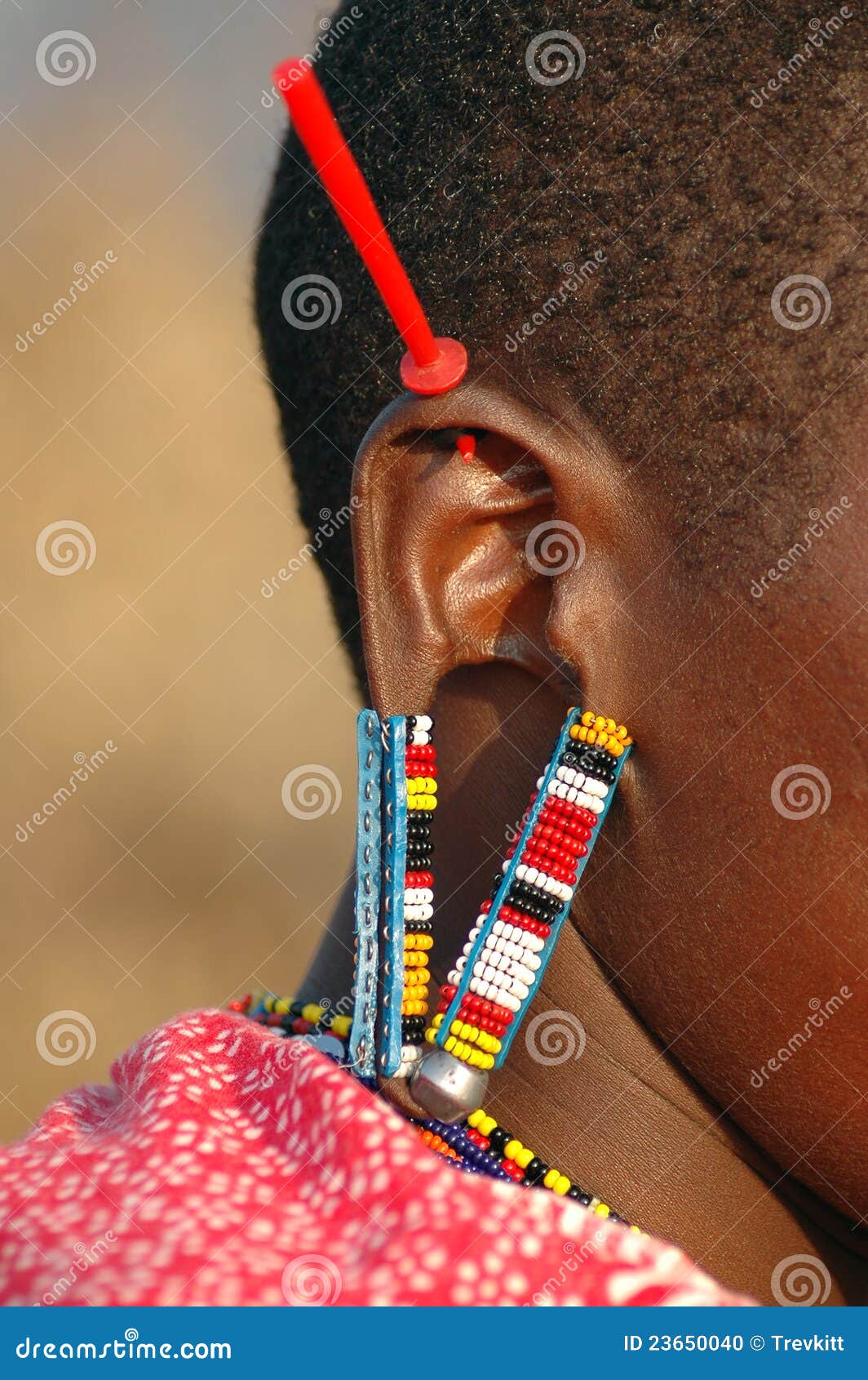 Decorated Ear of Masai Mara Stock Photo - Image of tribe, appendage ...
