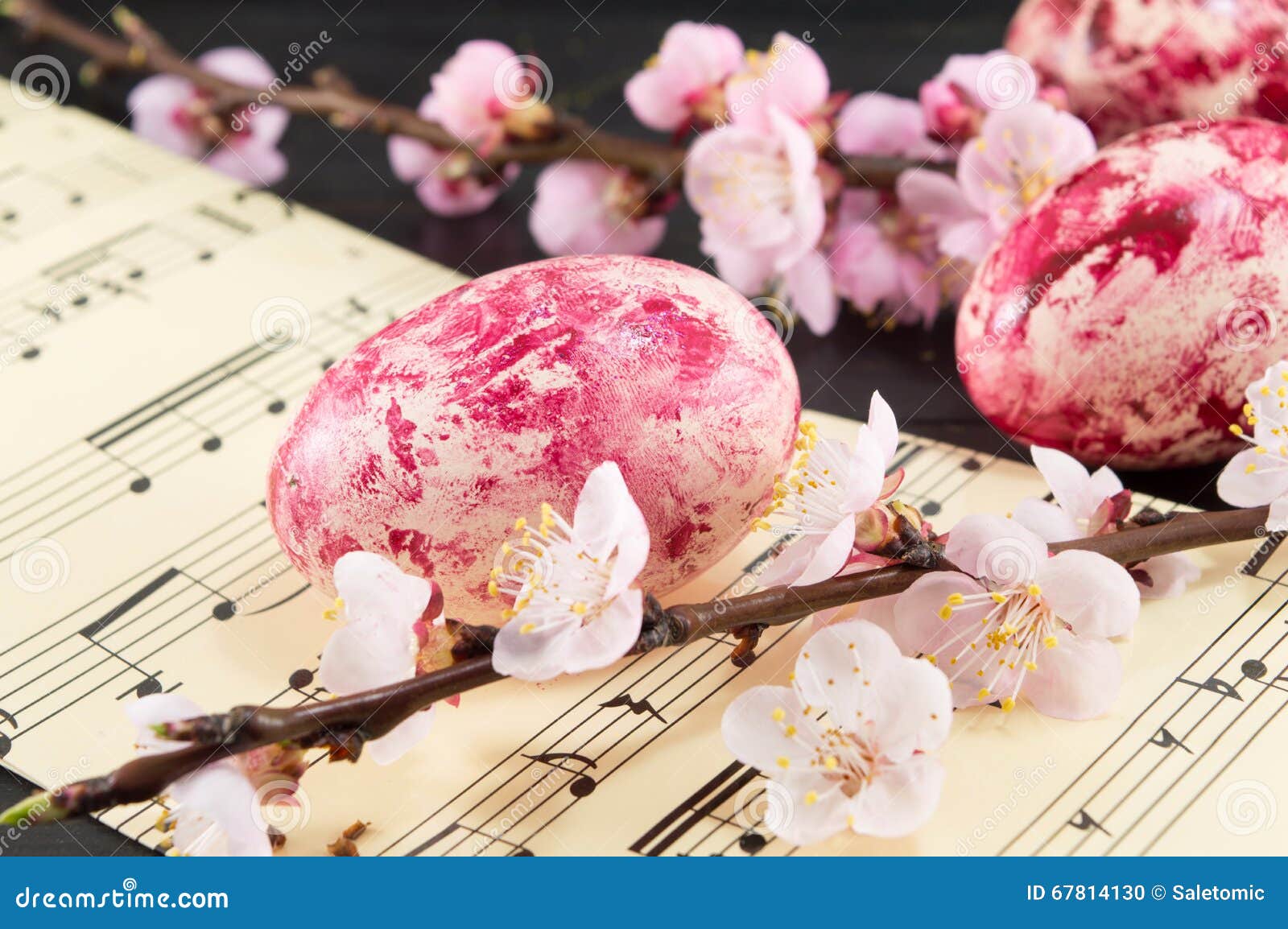 385 Decorated Easter Eggs Cherry Blossom Tree Stock Photos - Free ...