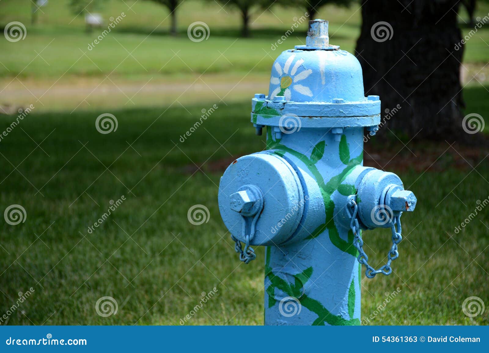 Decorated fir hydrant stock image. Image of painted, chain - 54361363