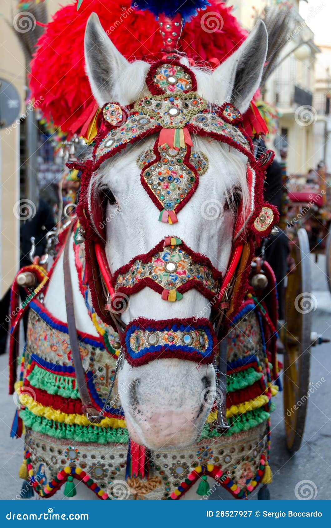 Decorated horse stock image. Image of nose, holiday, italy - 28527927