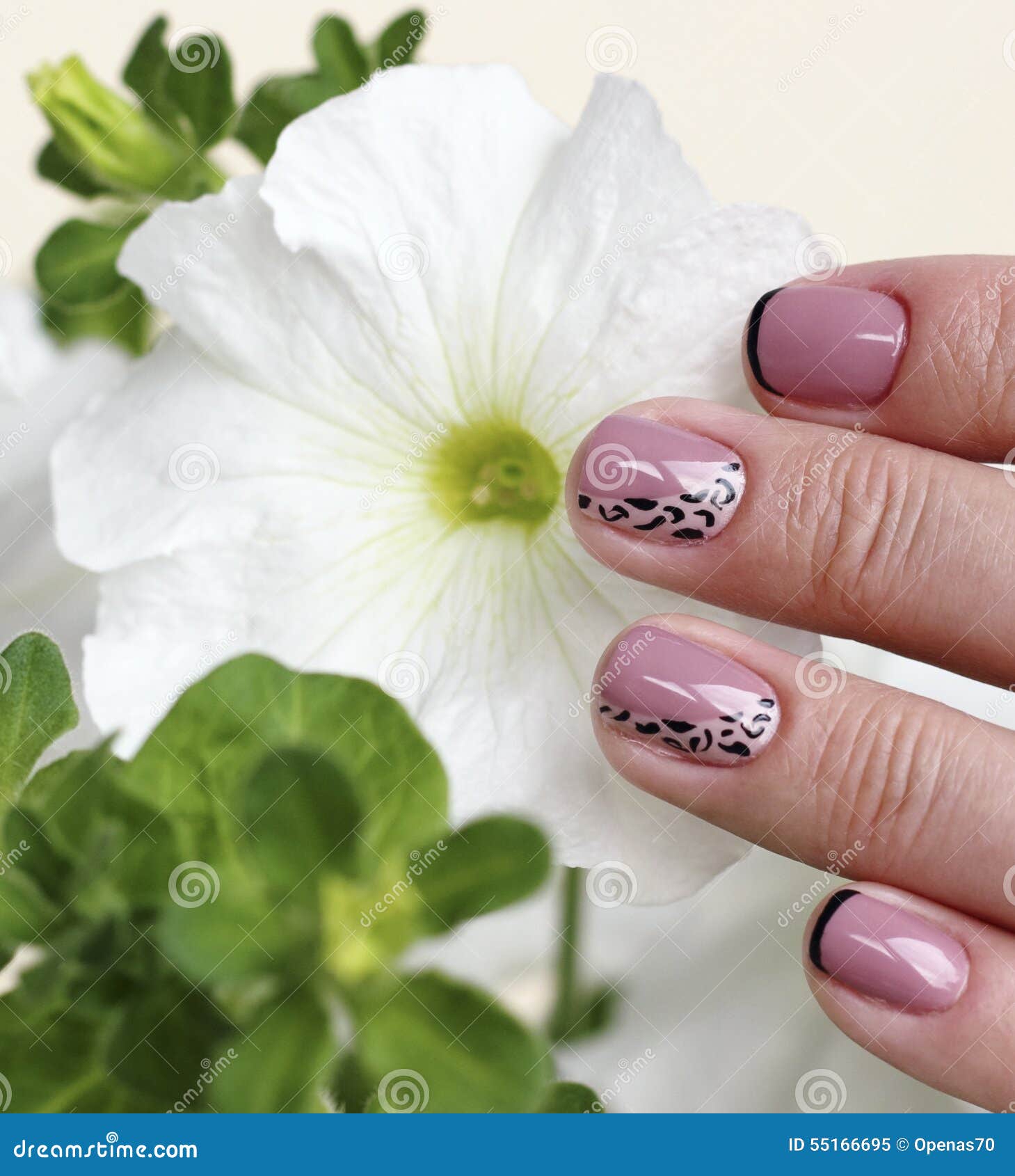 Decorated nails stock image. Image of elegant, beauty - 55166695