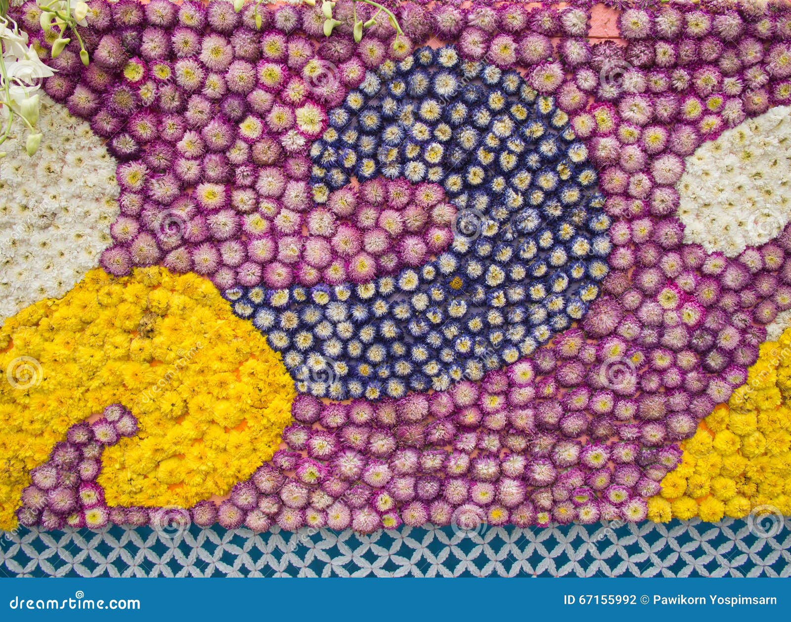 Decorated with Purple Amaranth Flower. Stock Photo - Image of hand ...